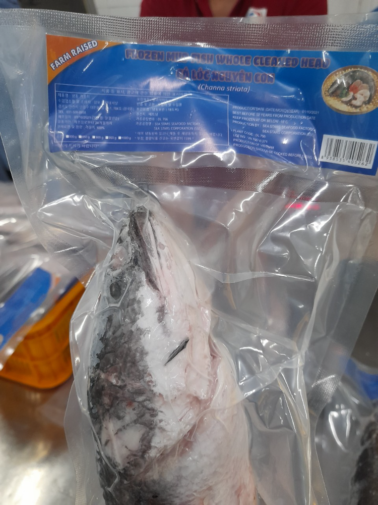 Bulk Buy Vietnam Wholesale Frozen 100% Fresh Mud Fish Whole Cleaned ...