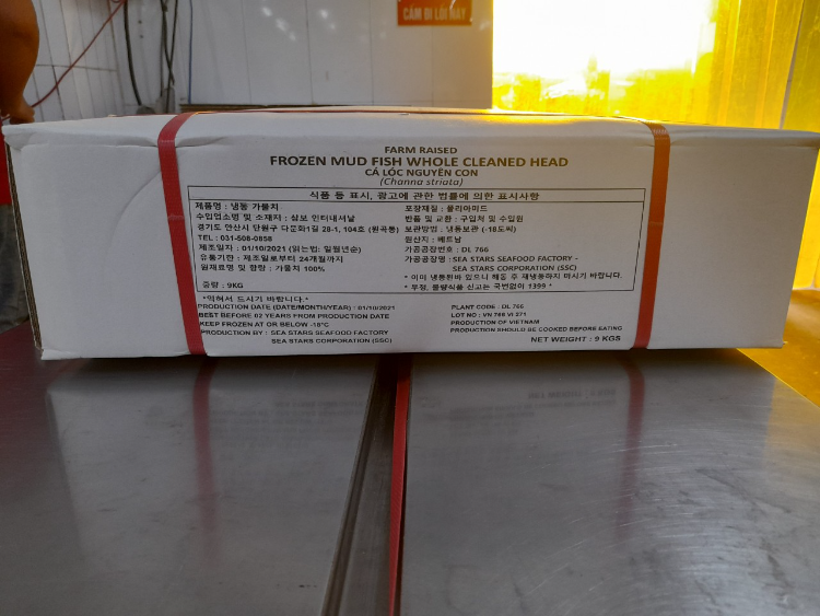 Bulk Buy Vietnam Wholesale Frozen 100% Fresh Mud Fish Whole Cleaned ...