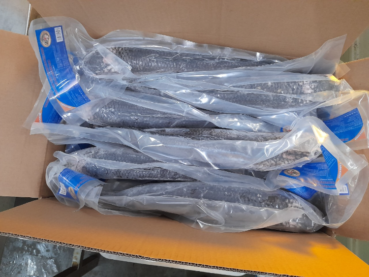 Bulk Buy Vietnam Wholesale Frozen 100% Fresh Mud Fish Whole Cleaned ...