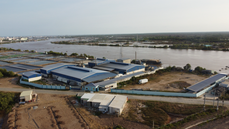 Bulk Buy Vietnam Wholesale Frozen 100% Fresh Mud Fish Whole Cleaned ...