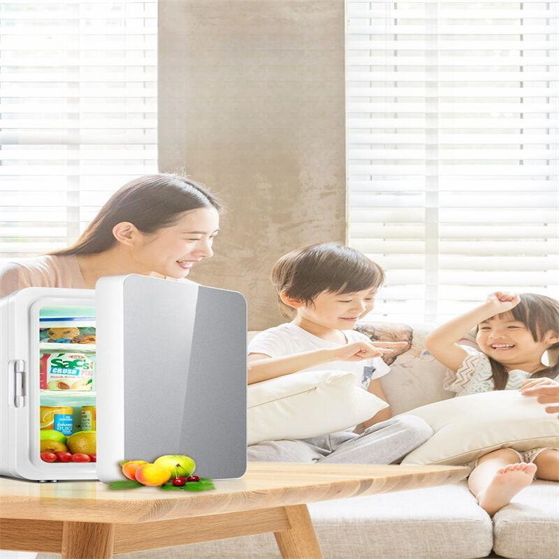 Hot Sale Fashionable10l Car Dormitory Household Freshness Mini ...