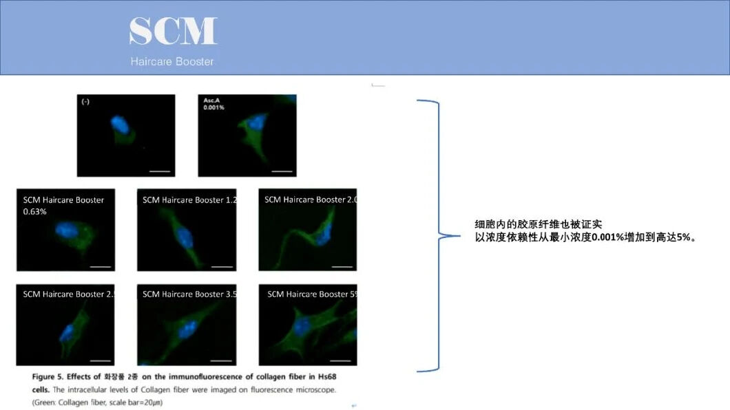 Buy Wholesale China Scm Haircare Booster Stimulates Rapid Hair Growth ...