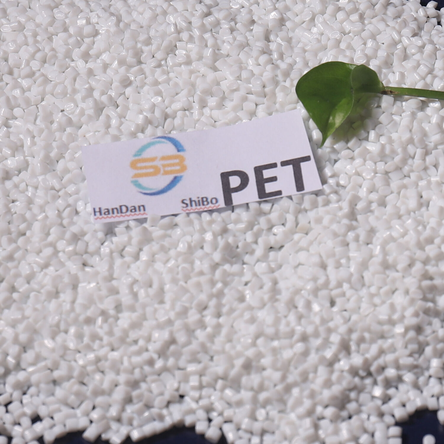 Bottle Grade Polyester Chips Pet Chips Pet Bottle Plastic Raw Materials ...