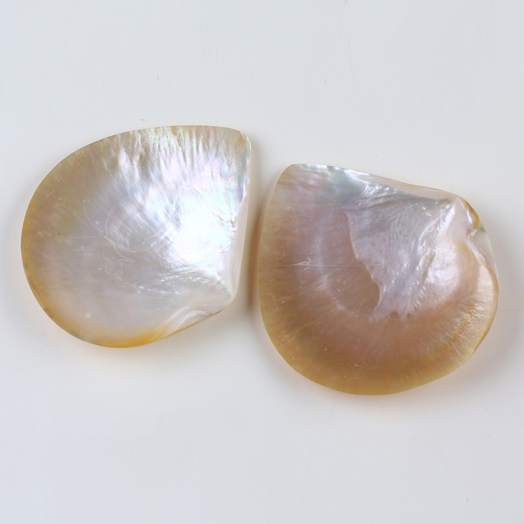 Buy China Wholesale Wholesale New Zealand Abalone Shell Sheet Mother Of ...