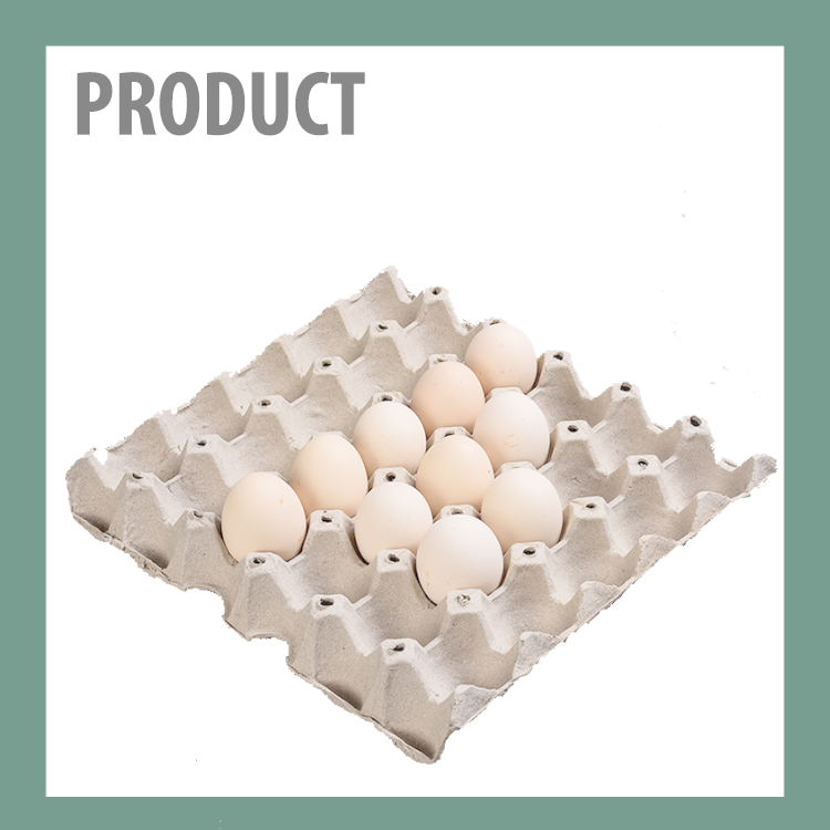 Pigeon Quail Egg Boxes 12 Cells Paper Pulp Quail Egg Holders Cartons ...