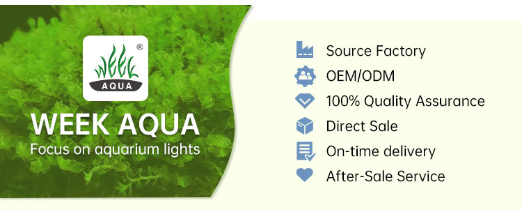 Buy China Wholesale Weekaqua Dj-l-l120 Aquarium Light Hanging Stand ...