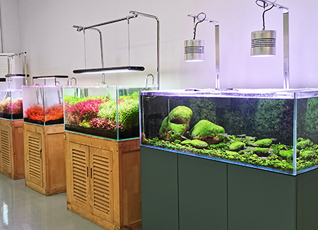 Buy China Wholesale Weekaqua Dj-l-l120 Aquarium Light Hanging Stand ...