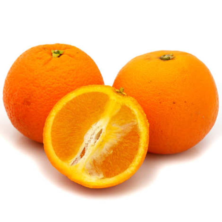 Latest Arrival Fresh Crop High Quality Premium Grade Fresh Orange ...