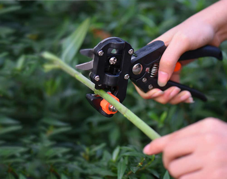 Bulk Buy China Wholesale Zxx Graft Trimmer Garden Grafting Tool ...