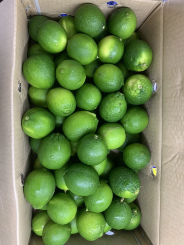 Buy Vietnam Wholesale Fresh Seedless Lime Vietnam / Cheap Price Fresh ...
