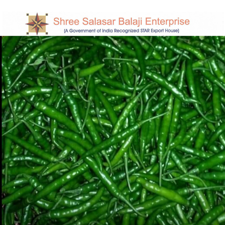 Buy British Indian Ocean Territory Wholesale Vegetables Exporter Indian ...