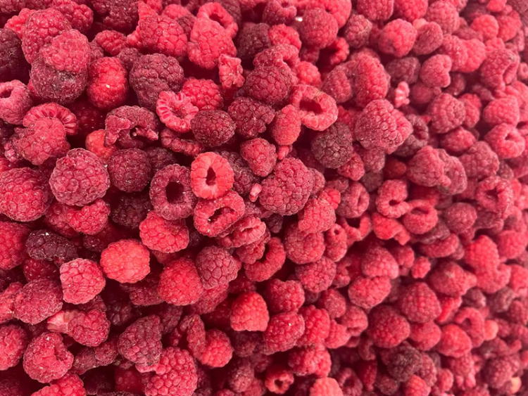 Pesticide Free Sinomania Frozen Wild Raspberries Whole With Best Taste ...