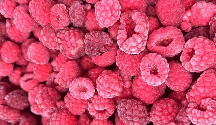 Pesticide Free Sinomania Frozen Wild Raspberries Whole With Best Taste ...