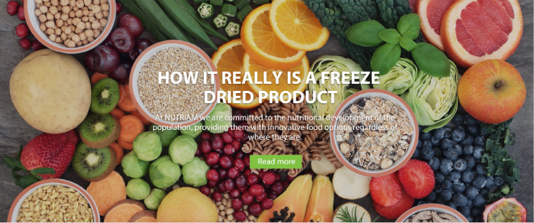 Bulk Buy Mexico Wholesale Freeze Dried Berries Mexico Vianda Processing ...