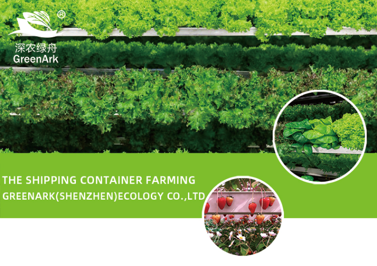 Vegetables Planting Container Farm Grow Container Greenhouse With ...