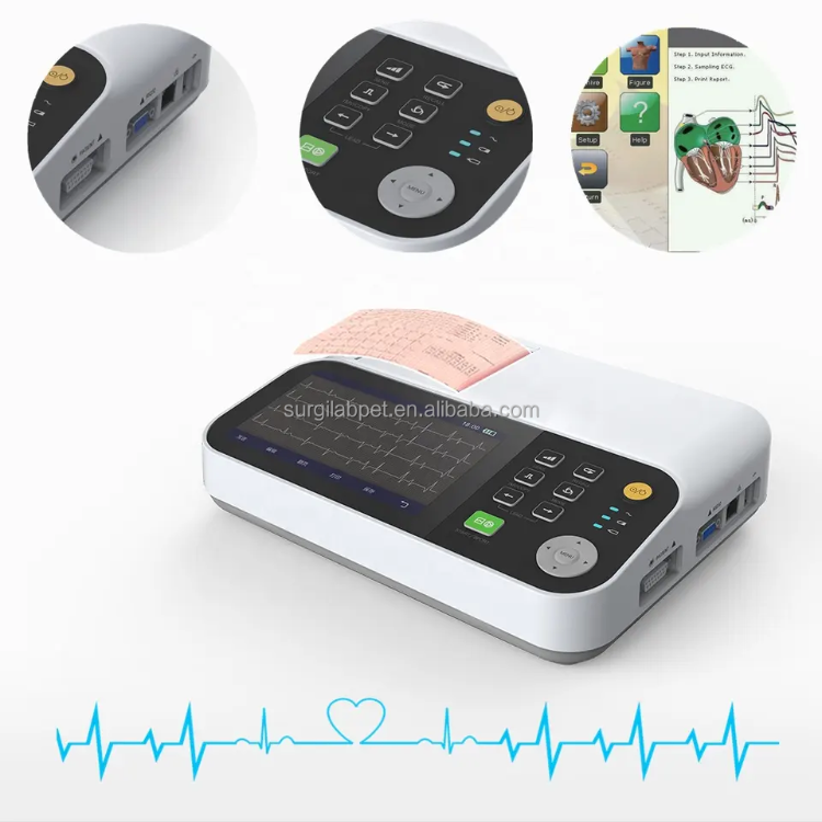 7 Inches Color Lcd Display Veterinary Ecg Machine Pet Hospital ...