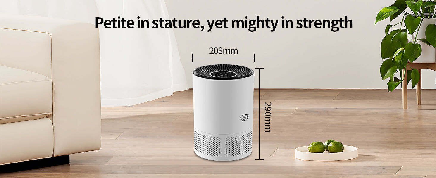 Buy Wholesale China Ce Rohs Negative Ion Oem Odm True Hepa Home Air ...