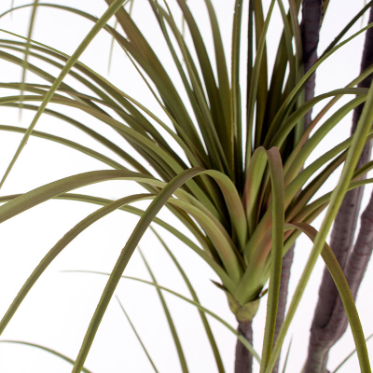 Buy Wholesale China Nordic New Creative Plastic Tropical Plant ...