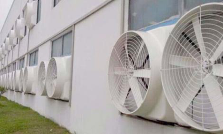 Pig Farm Product Ventilation Equipment Fan - Explore China Wholesale ...