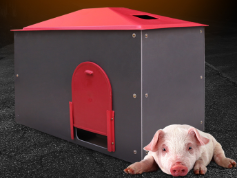 Pig Farm Product Ventilation Equipment Fan - Explore China Wholesale ...