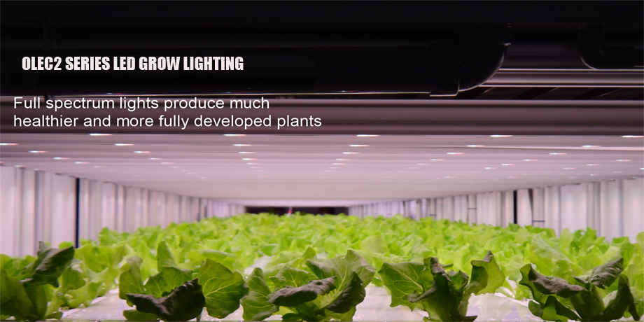 Buy Wholesale China High Power Led Grow Light Foldable With Full ...