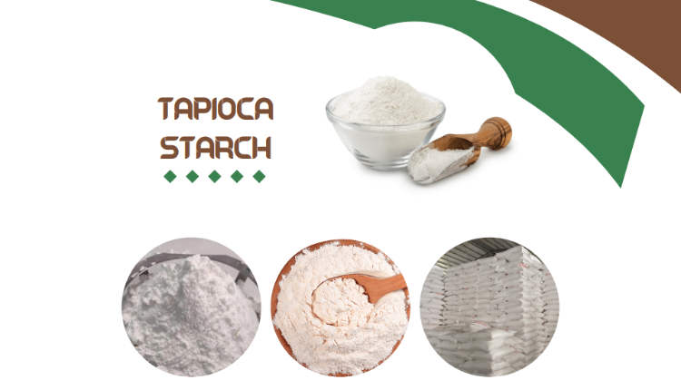 Buy Wholesale Vietnam Best Selling Tapioca Starch High Quality ...