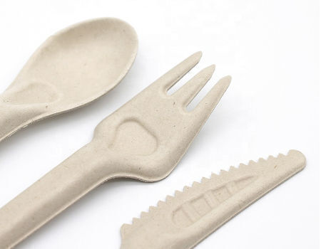 Buy Wholesale China Sell Sugarcane Pulp Tableware Disposable Tableware ...