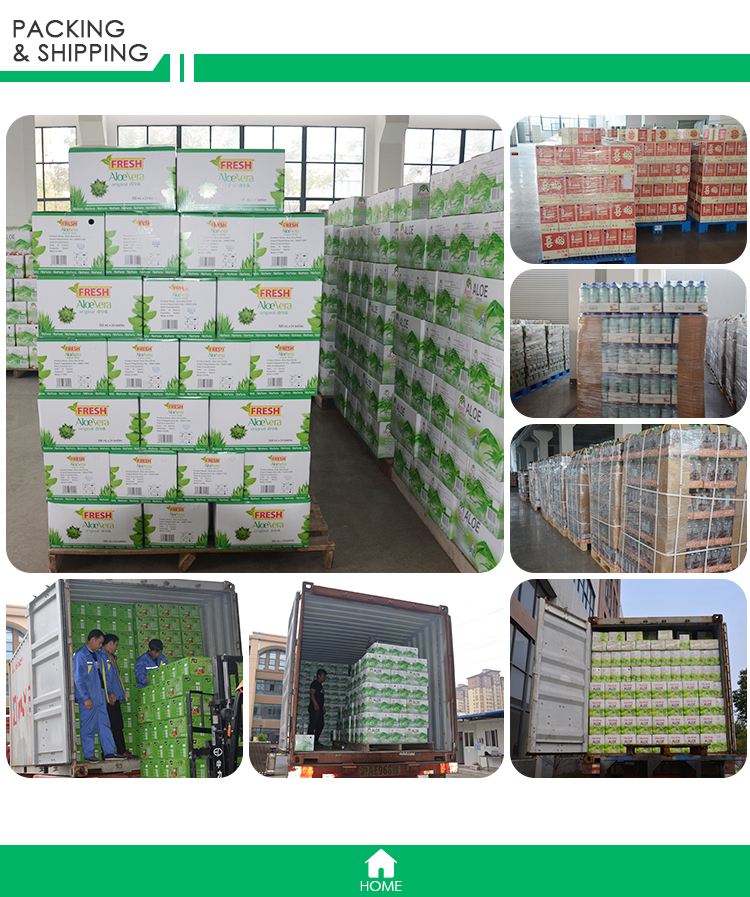 Hot Selling Pet Bottled Oem Product Market Wholesale Orange Aloe Juice ...