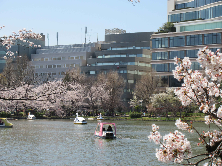 Dust Free Paper Stationery Paper Notebook For Cleanroom - Japan ...