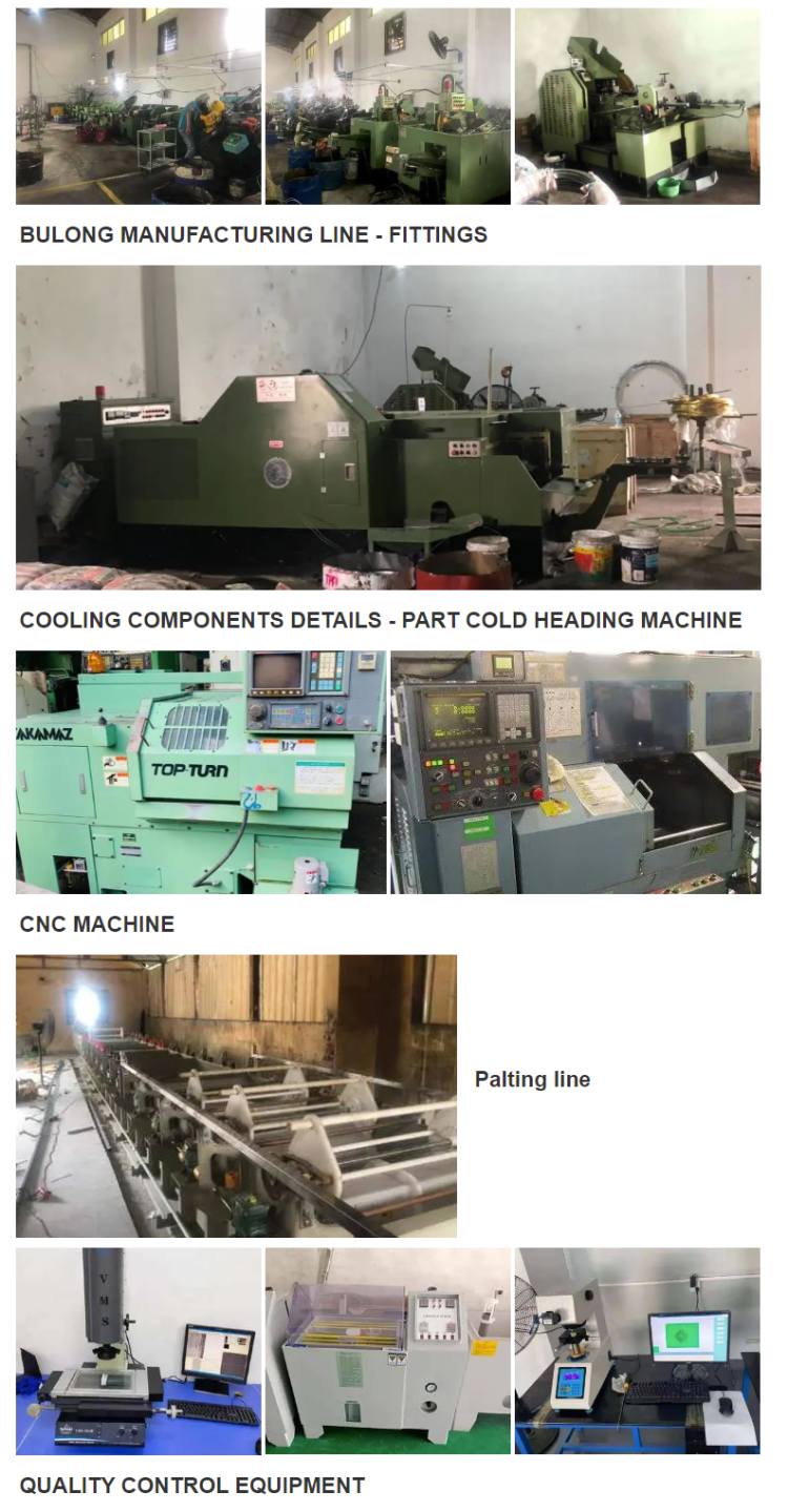 Buy Wholesale Vietnam Thuan Phat Manufacturer Din1587 Ca P Nut High Quality Carbon Steel Zinc ...