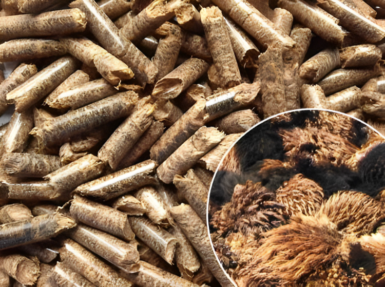 Buy Malaysia Wholesale Preferred Seller Palm Kernel Pellets Combo ...