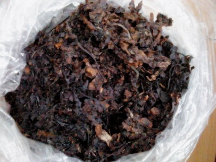 Buy Wholesale Vietnam Vietnam Dried Sargassum Seaweed From Natural ...