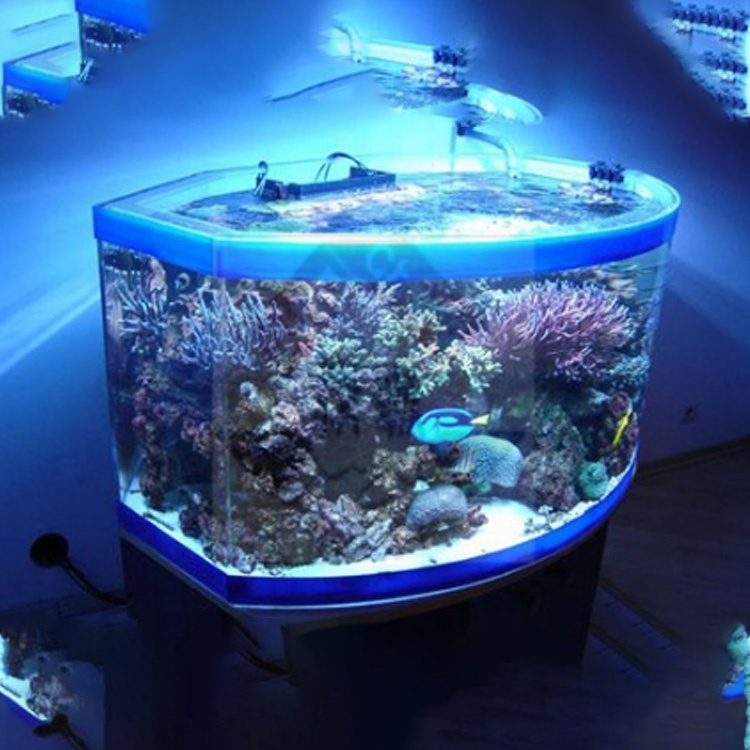 Buy Wholesale China 2020 Factory Supply New Style Transparent 200 ...