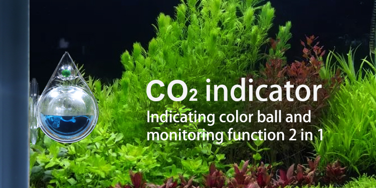 Buy Standard Quality China Wholesale Aquarium Plant Tank Test Kit Co2 ...