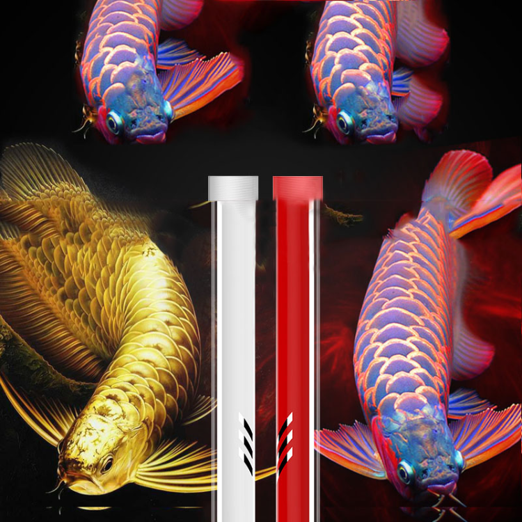 Bulk Buy China Wholesale Mayin Brand Arowana Hair Color Lamp 13000k ...