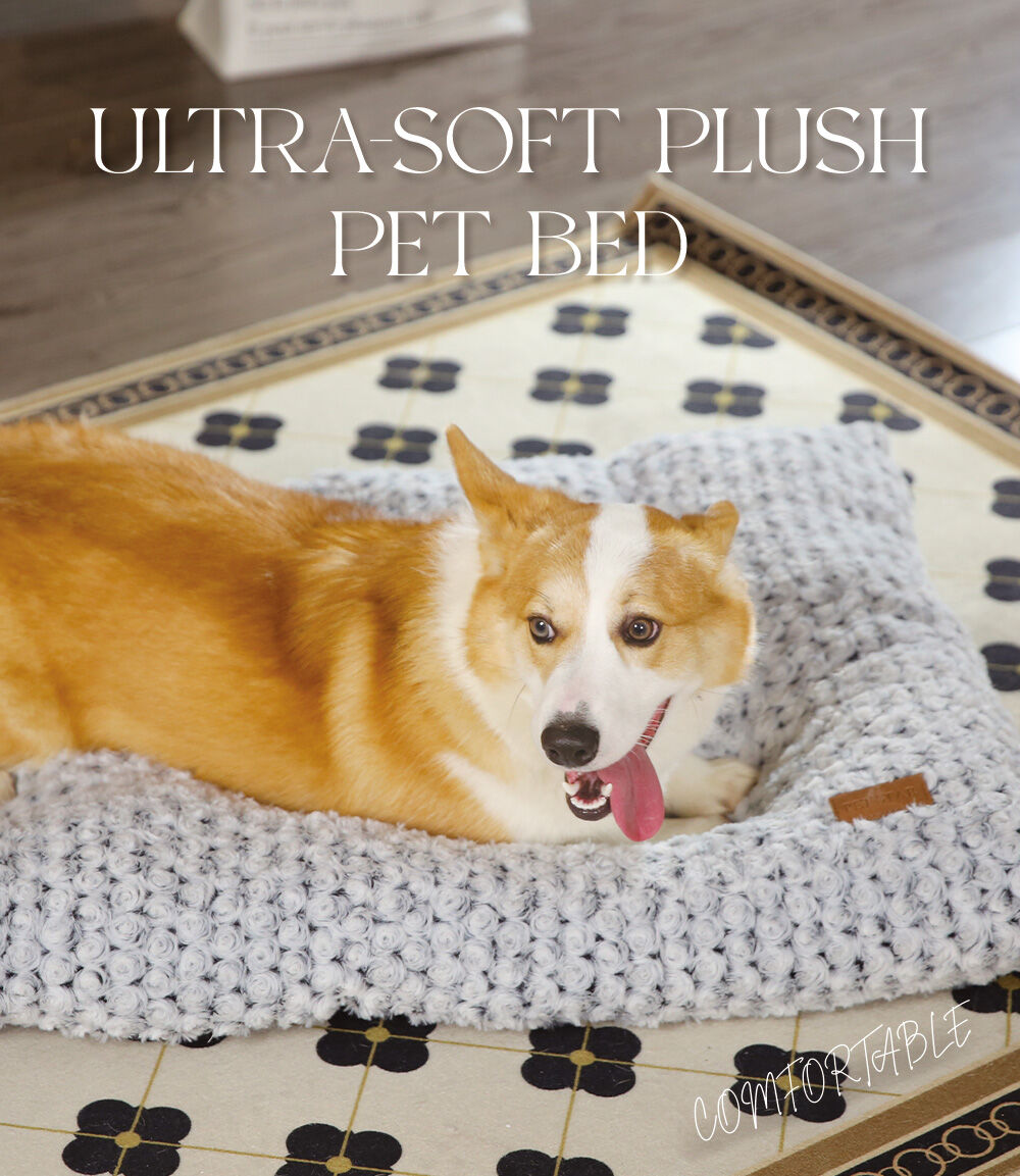 Buy Wholesale China Petstar New Design Ultra-soft Plush Pet Cushion Bed ...