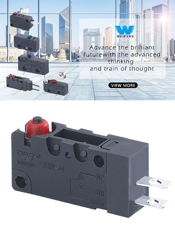 Bulk Buy China Wholesale Fsk-14 Normal Open Micro Switch Ip68 Ce Tuv ...