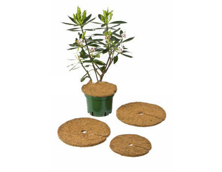 Buy Wholesale China Natural Coco Palm Fiber Tree Mulch Ring Protector ...