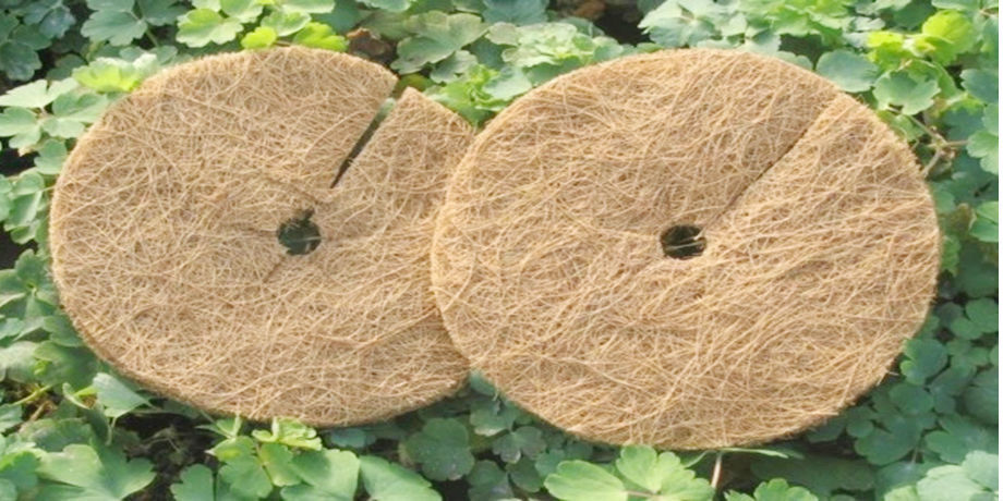 Buy Wholesale China Natural Coco Palm Fiber Tree Mulch Ring Protector ...