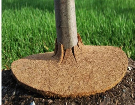 Buy Wholesale China Natural Coco Palm Fiber Tree Mulch Ring Protector ...
