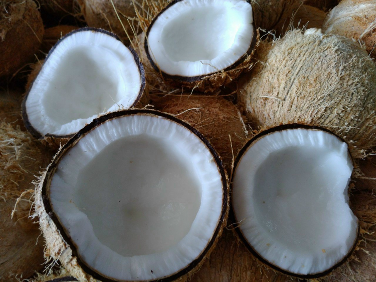 Buy Vietnam Wholesale Vietnamese Fresh Coconut Old Coconut Used For ...