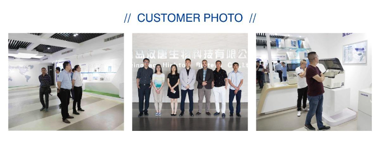 Hightop Hp Ce H. Pylori Antigen Rapid Test Kits For Hospital Use, Hp ...