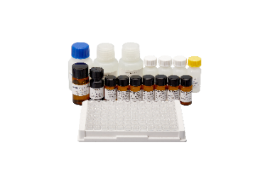 Sales Far Ahead Wth Quality Assurance Antibiotic Test Kit Elisa Test ...