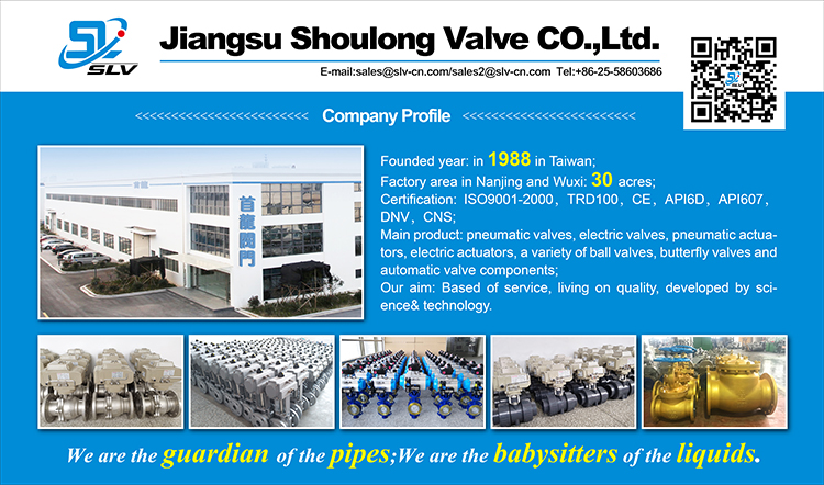 Itq Quarter Turn Electric Actuator Itq 0160 Itq 0240 I-tork Tq0100~9000 ...