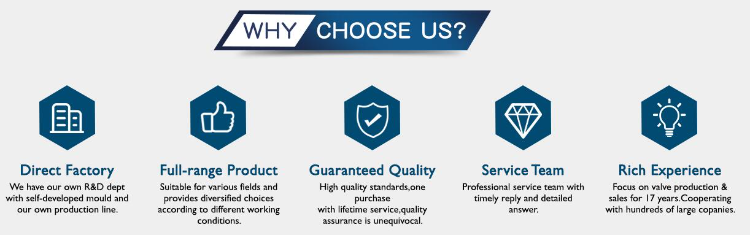 Itq Quarter Turn Electric Actuator Itq 0160 Itq 0240 I-tork Tq0100~9000 ...