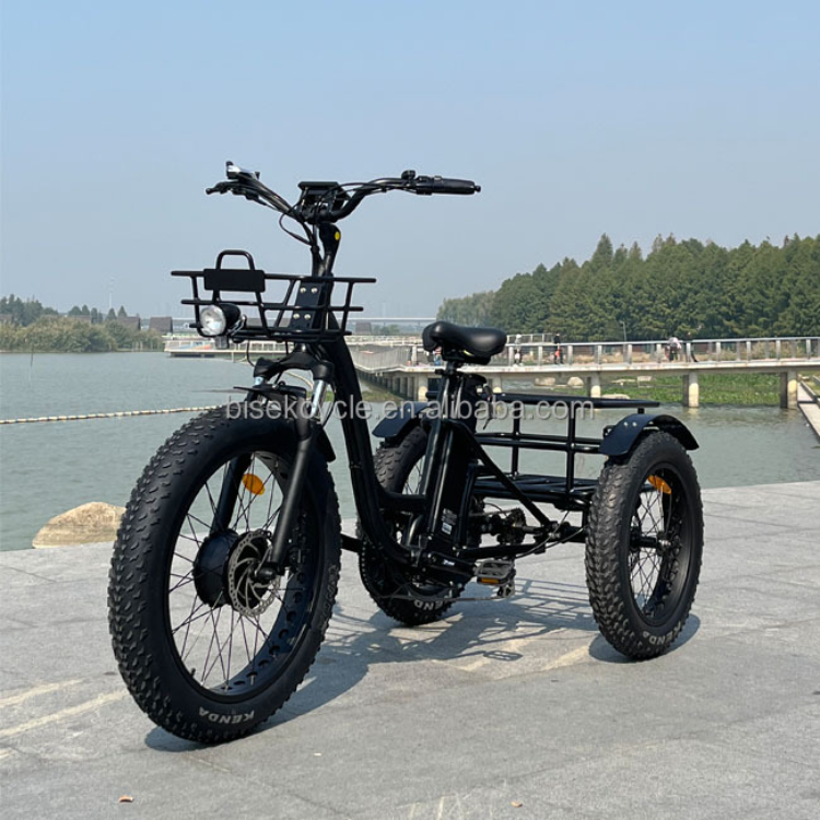2023 Hotselling 24 Inch Electric Trike Fat Tire 3 Wheel Electric ...
