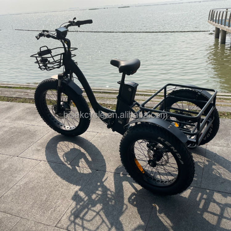 2023 Hotselling 24 Inch Electric Trike Fat Tire 3 Wheel Electric ...