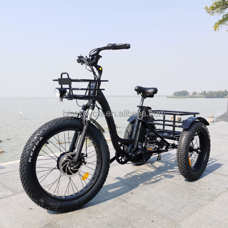 2023 Hotselling 24 Inch Electric Trike Fat Tire 3 Wheel Electric ...