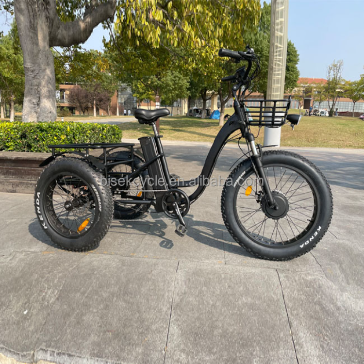 2023 Hotselling 24 Inch Electric Trike Fat Tire 3 Wheel Electric ...
