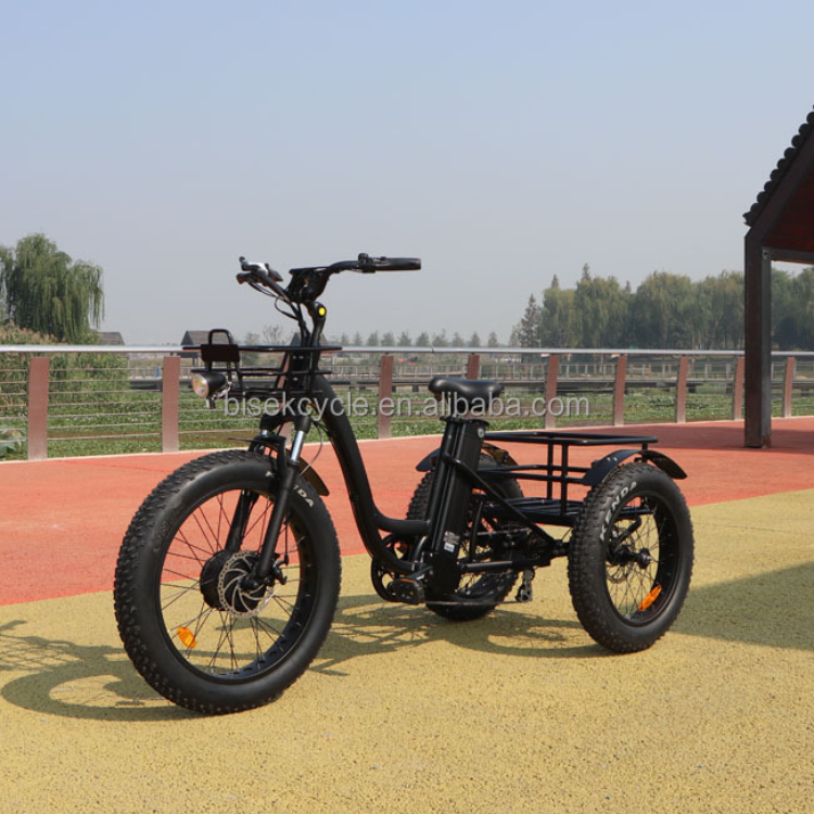 2023 Hotselling 24 Inch Electric Trike Fat Tire 3 Wheel Electric ...